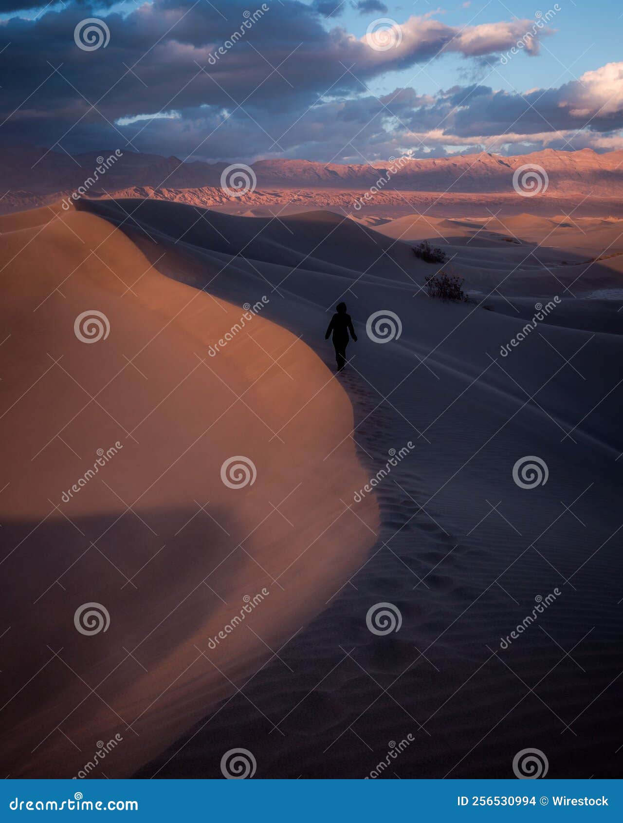 Dramatic Vertical View of a Person Walking Alone in the Desert at ...
