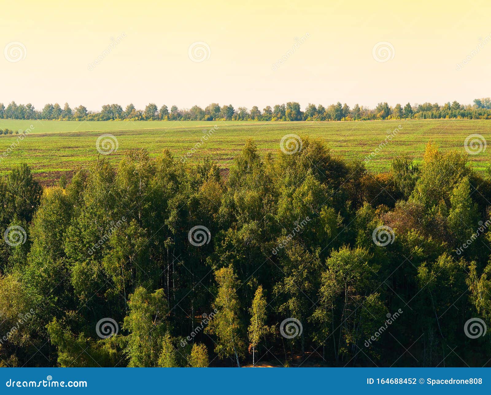 Dramatic View on Sunset Forest and Meadow Landscape Background Stock ...