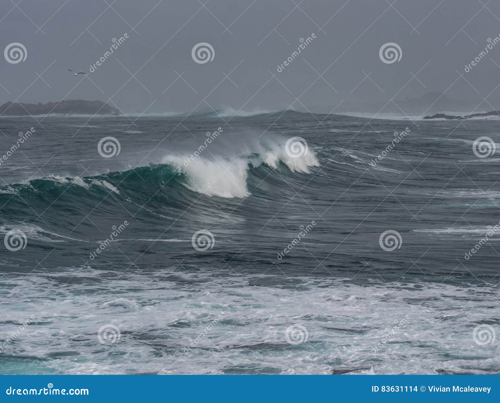 Dramatic waves stock photo. Image of monterey, wave, surf - 83631114