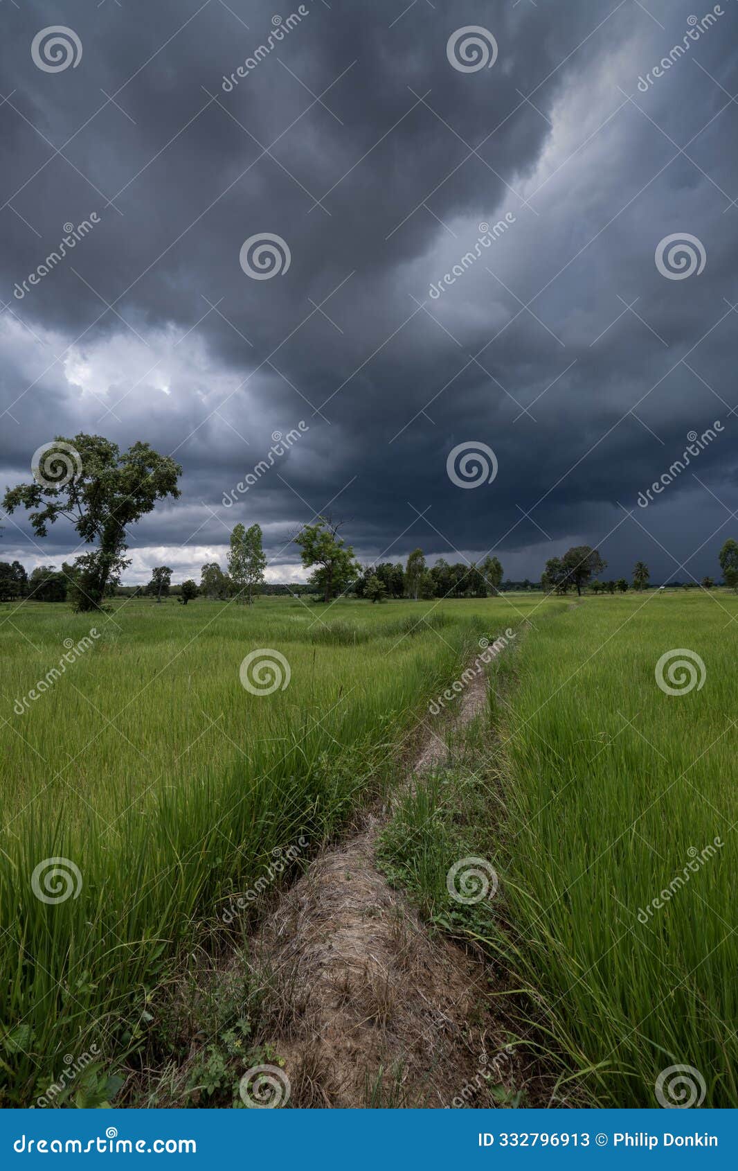 Dramatic Weather Clouds Forming Over Rice Fields during Rainy Season ...