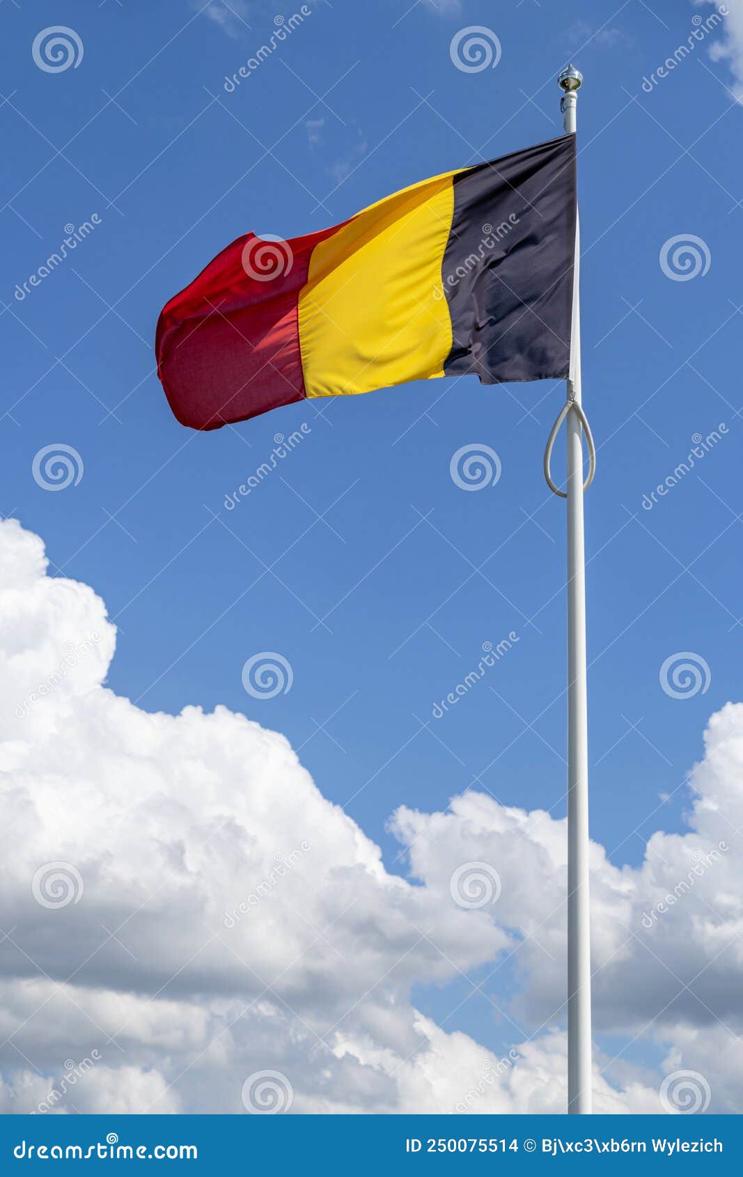 Drapeau belge photo stock. Image du rayé, tricolore - 250075514