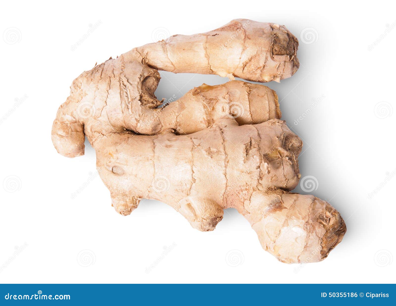 Draufsicht Der Gesamten Ingwerwurzel Stockfoto - Bild von homöopathie ...