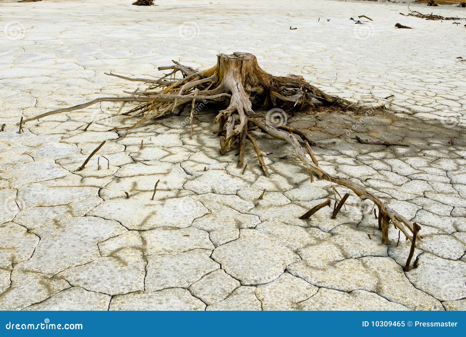 Draught Royalty Free Stock Photo - Image: 10309465