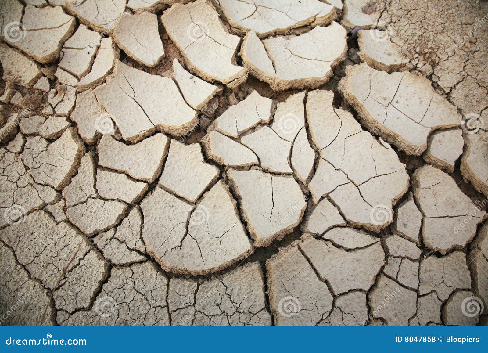 Draught stock photo. Image of environment, land, water - 8047858