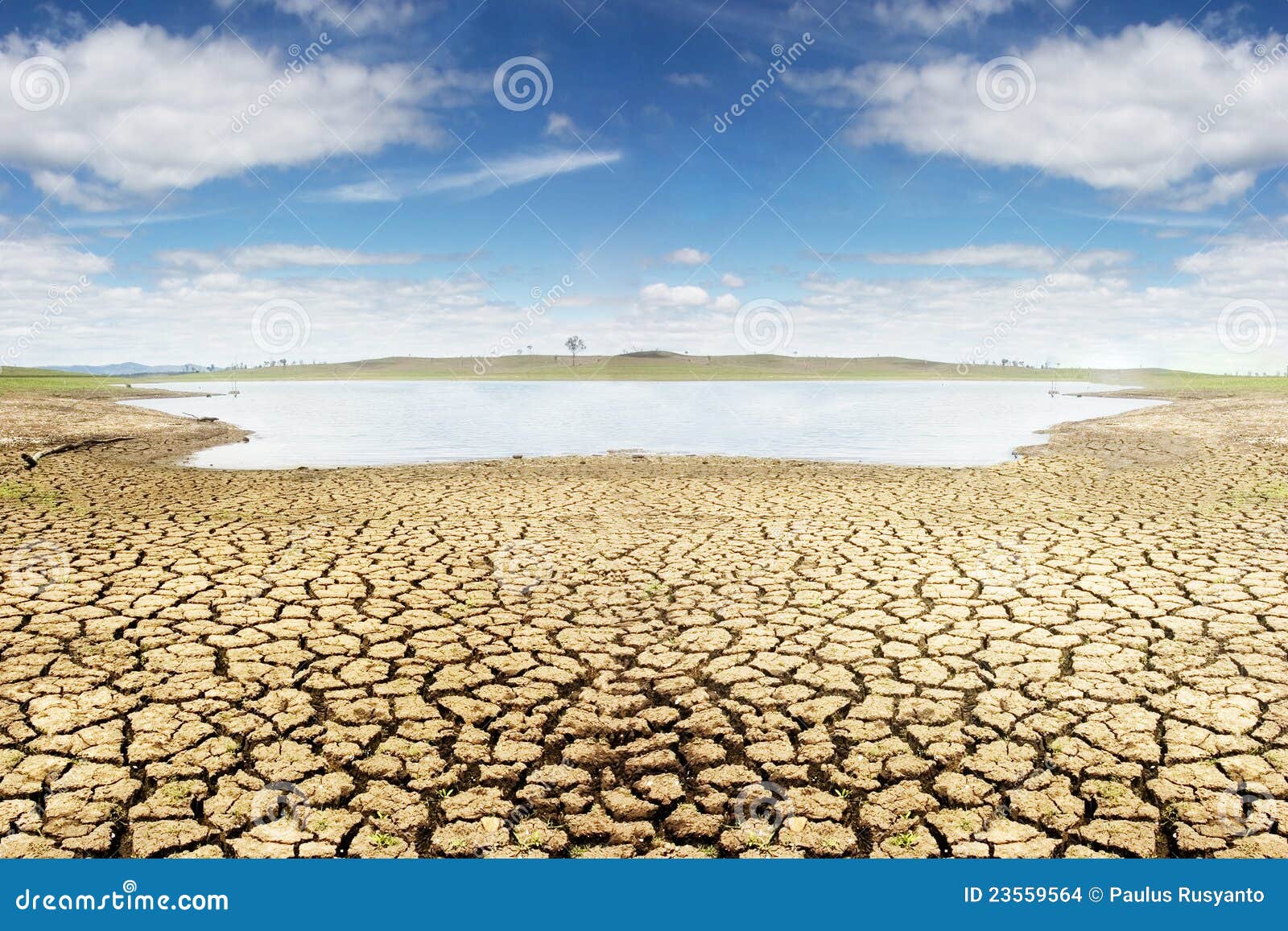 Draught in Australia stock photo. Image of nature, flora - 23559564