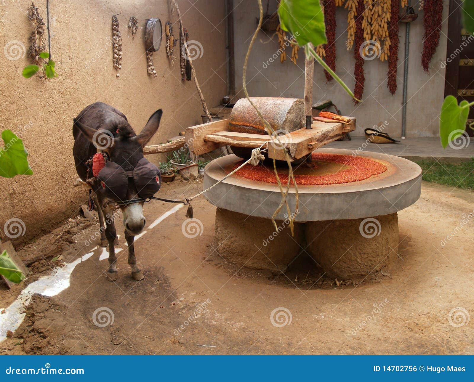Man-power Millstone From Prehistoric Era Use In Traditional Korean ...