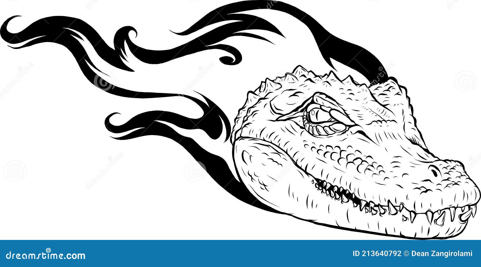 Alligator Head Outline