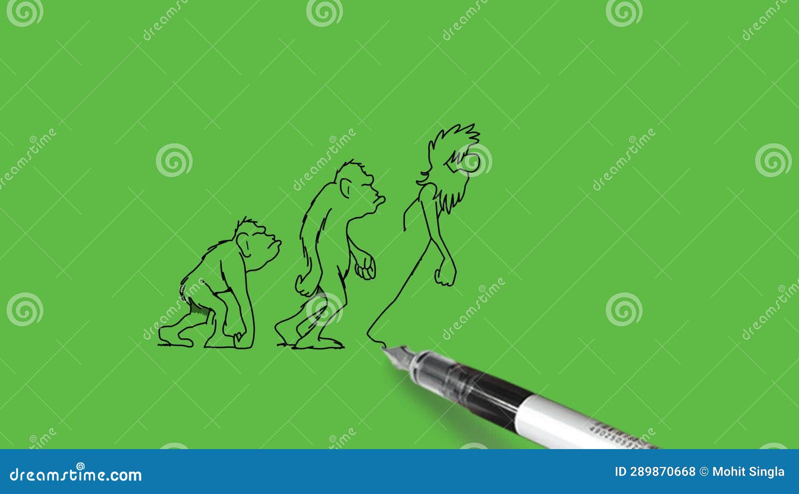 Draw Human Evolution Ape of Different Stage of Man S Life Begin with ...
