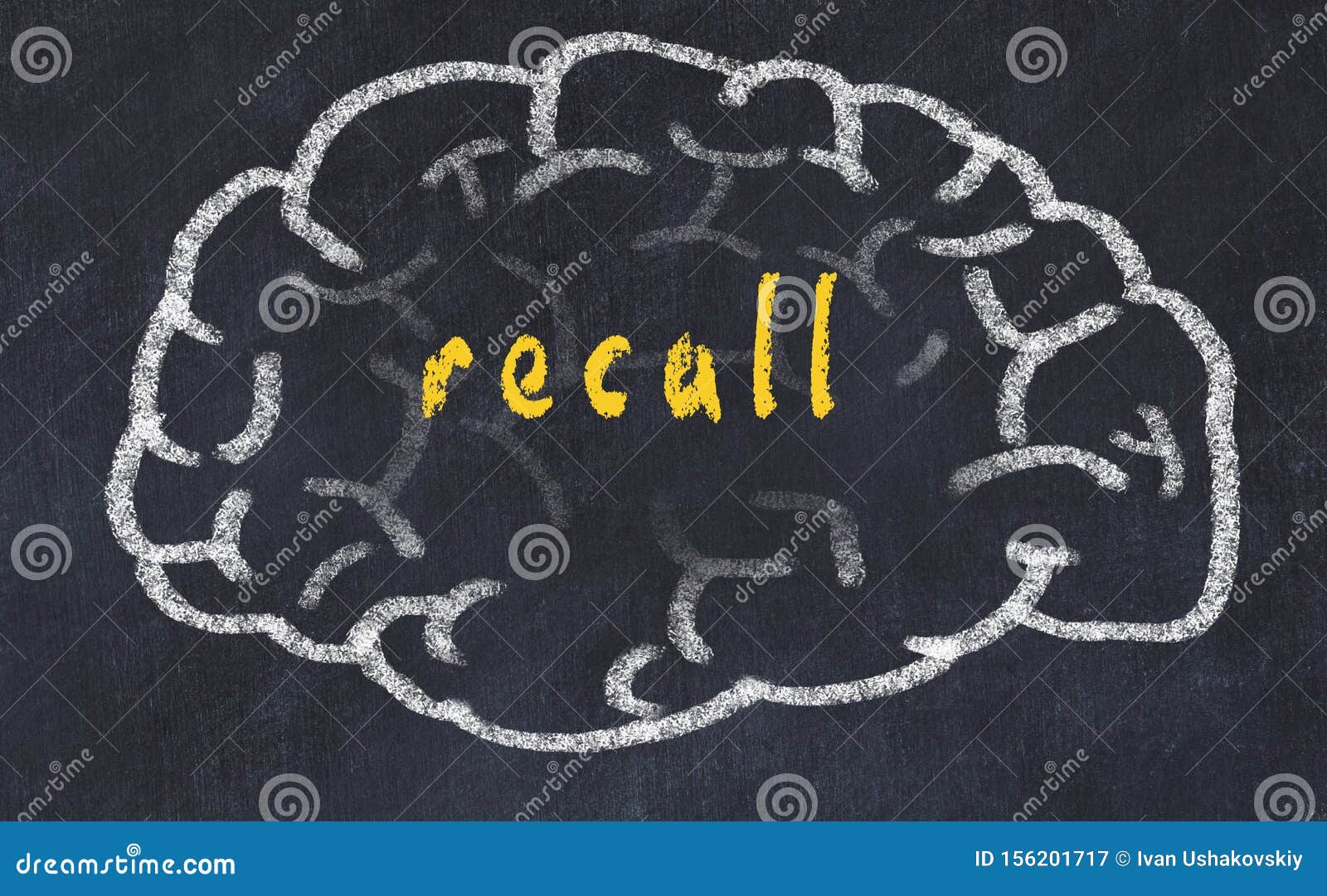 Drawind of Human Brain on Chalkboard with Inscription Recall Stock ...
