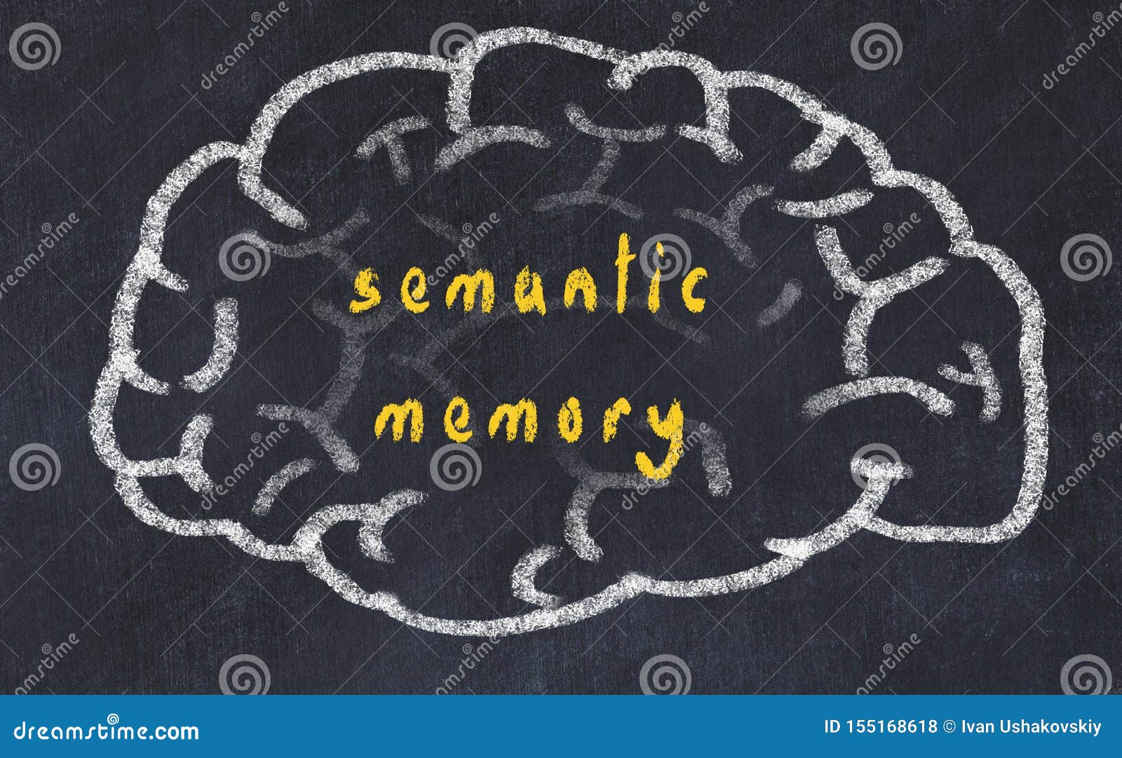 Drawind of Human Brain on Chalkboard with Inscription Semantic Memory ...
