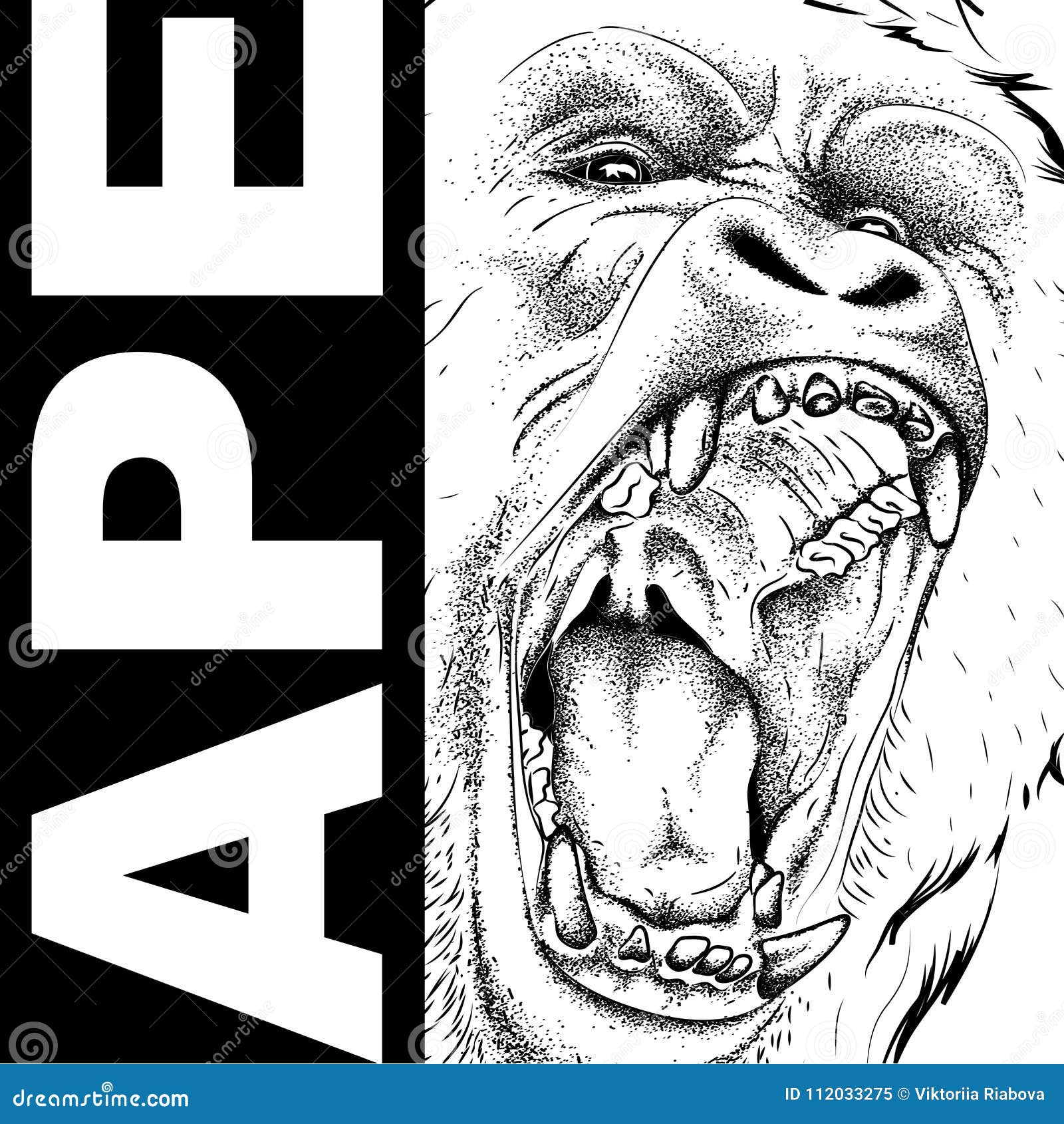 Drawing of a Ape`s Head. Leader of a Pack of Gorillas. Aggressive ...