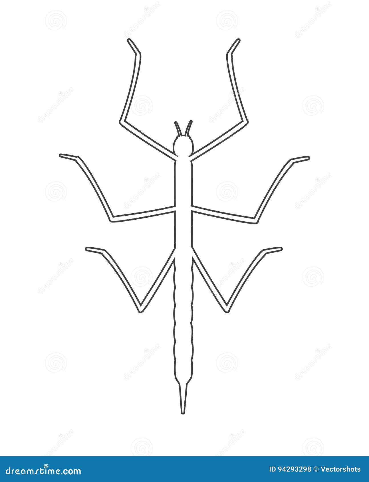 Stick Insect Black Silhouette Animal Vector Illustration ...