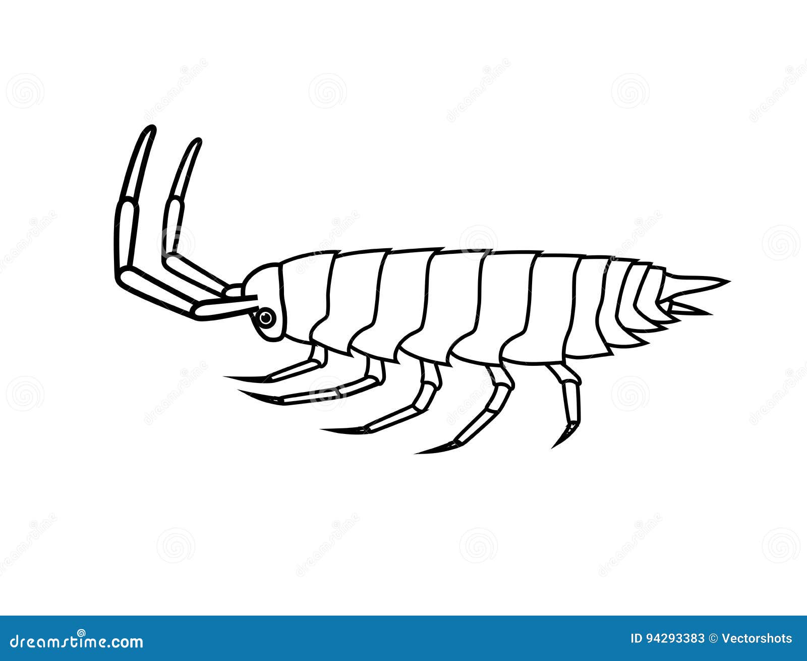 Woodlouse. Vector Illustration In Cartoon Style On A White Background ...