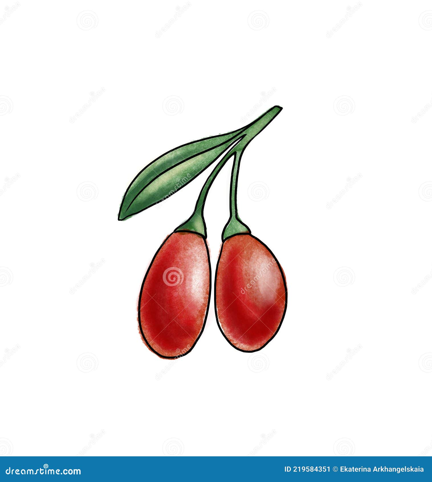 Drawing Berries Of Snowberry Tree With Leaves Royalty-Free Illustration ...