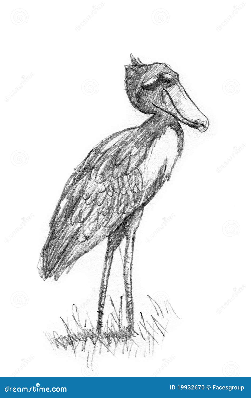 Drawing of a bird stock illustration. Illustration of artistically ...