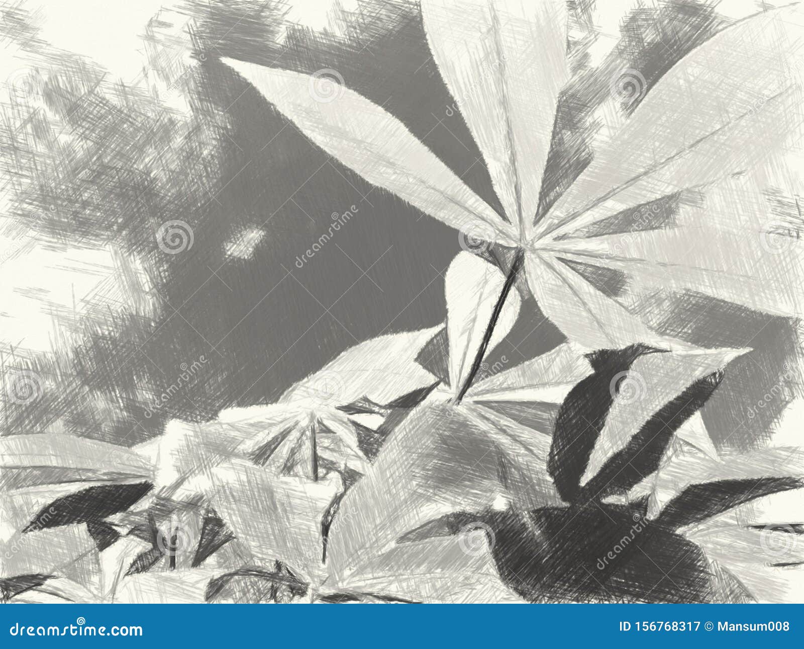 Drawing Black and White of Cassava Leaf Stock Illustration ...