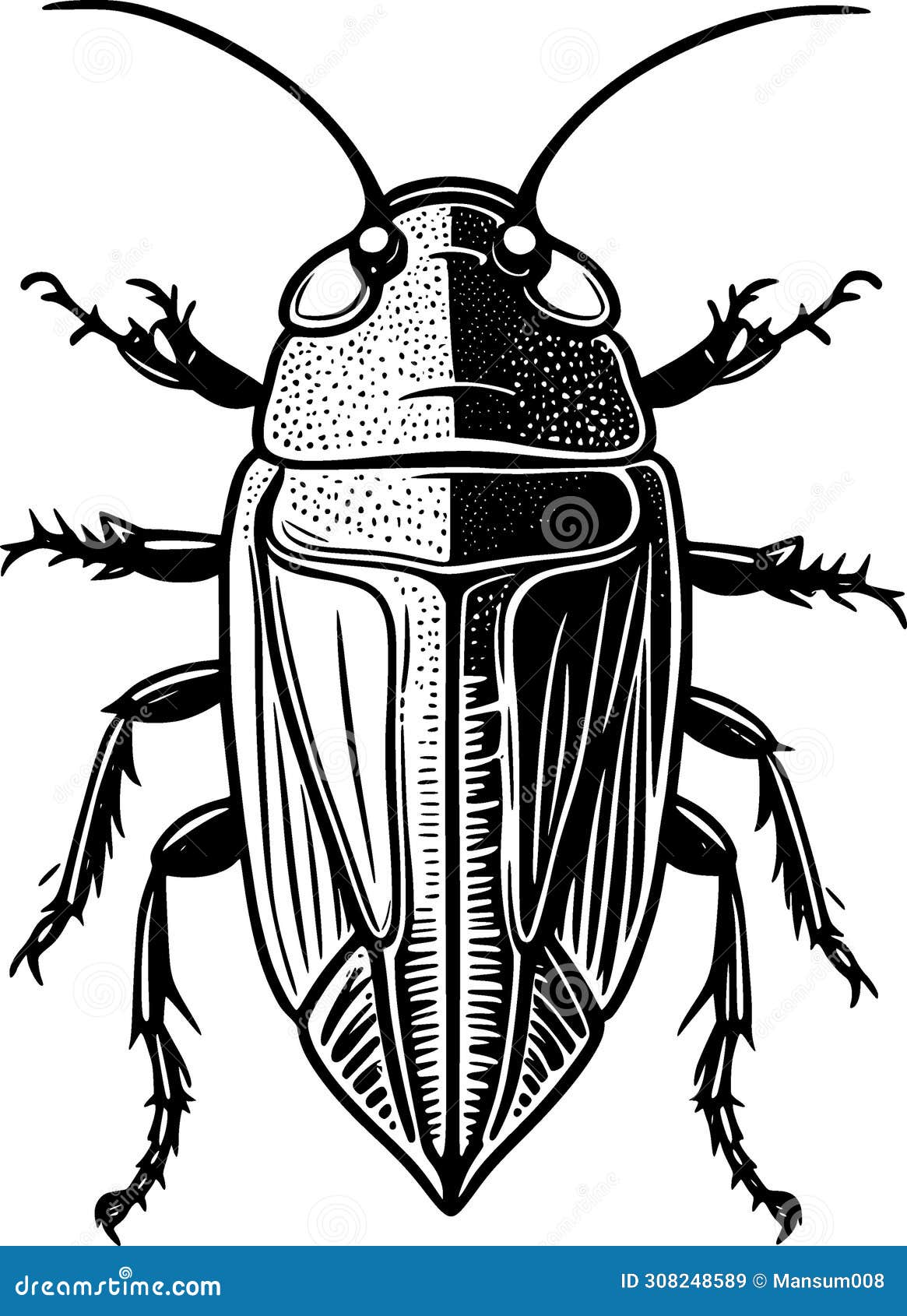 Drawing Black and White Cockroach Stock Illustration - Illustration of ...