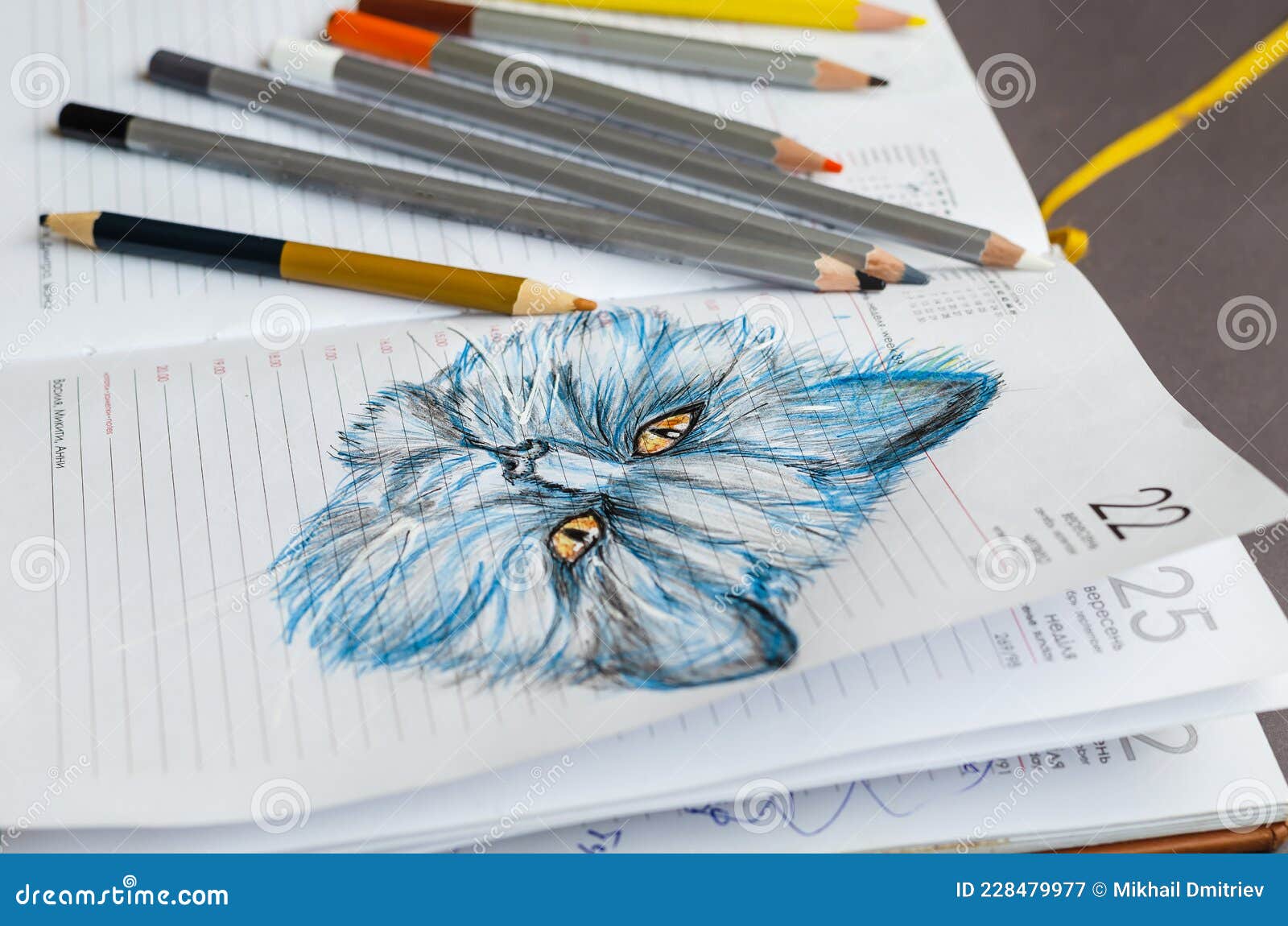 Drawing of a Blue Cat on an Open Diary Page. the Pet`s Head is Drawn ...