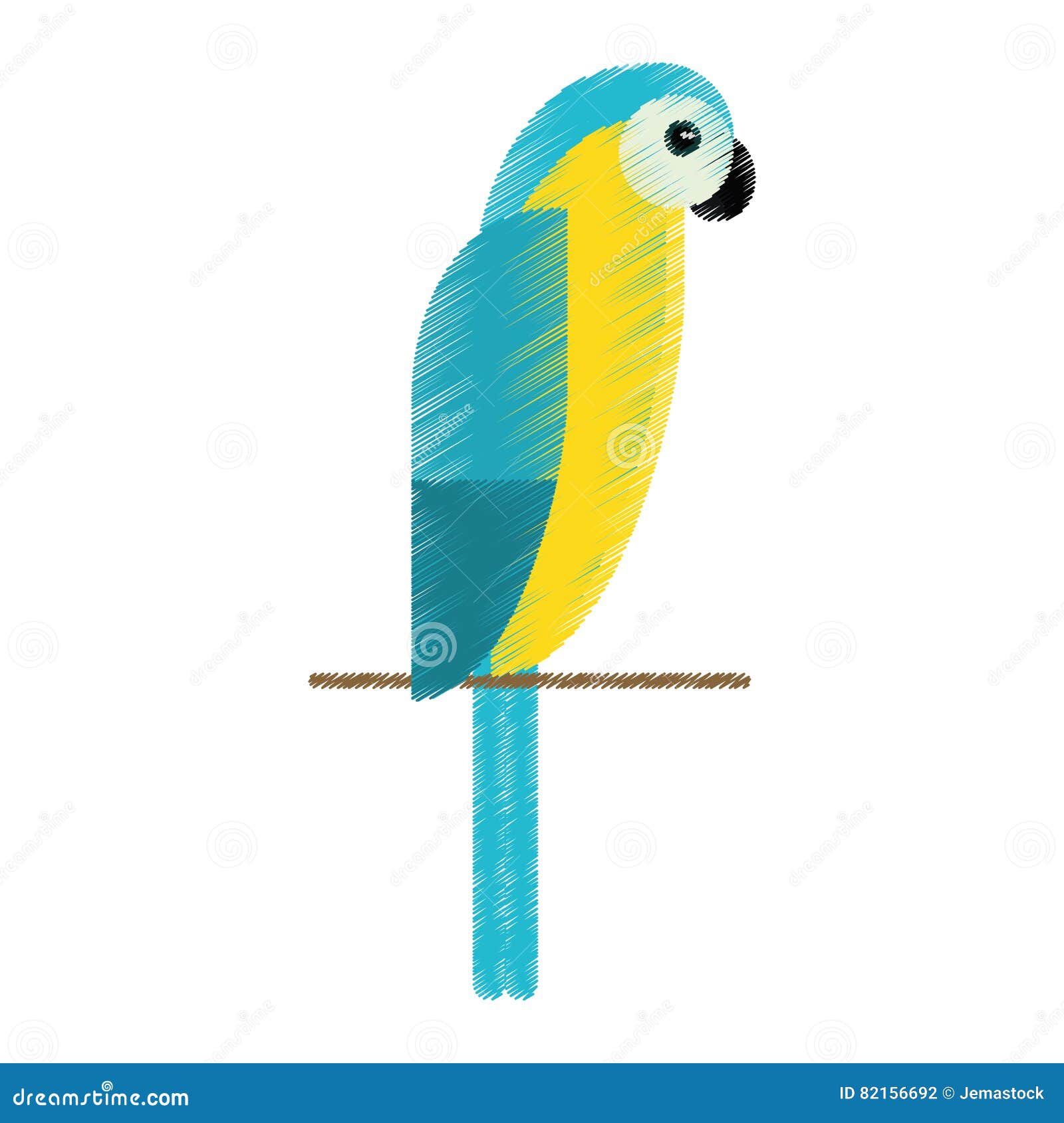Drawing Blue and Yellow Macaw Parrot Brazil Stock Vector - Illustration ...