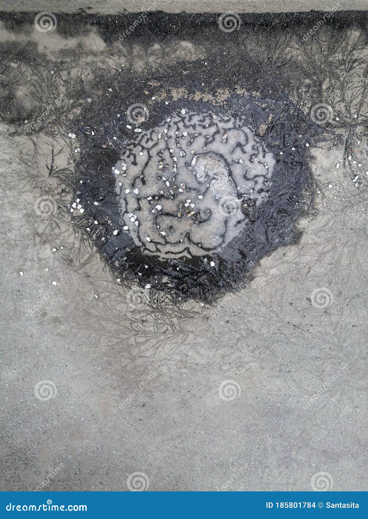 Frozen Brain Cryogenic Concept. Cerebellum. Human Brain Freeze 3D ...