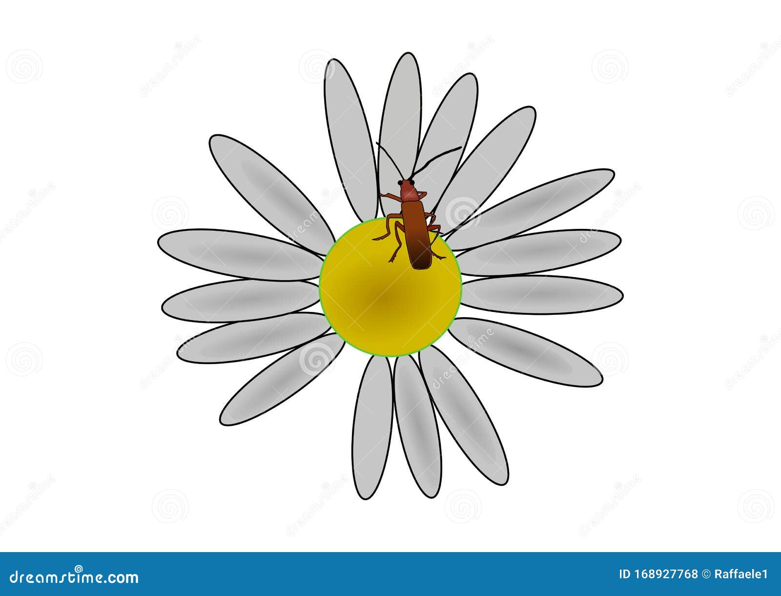 Drawing of Bug on a Flower with a White Background Stock Illustration ...