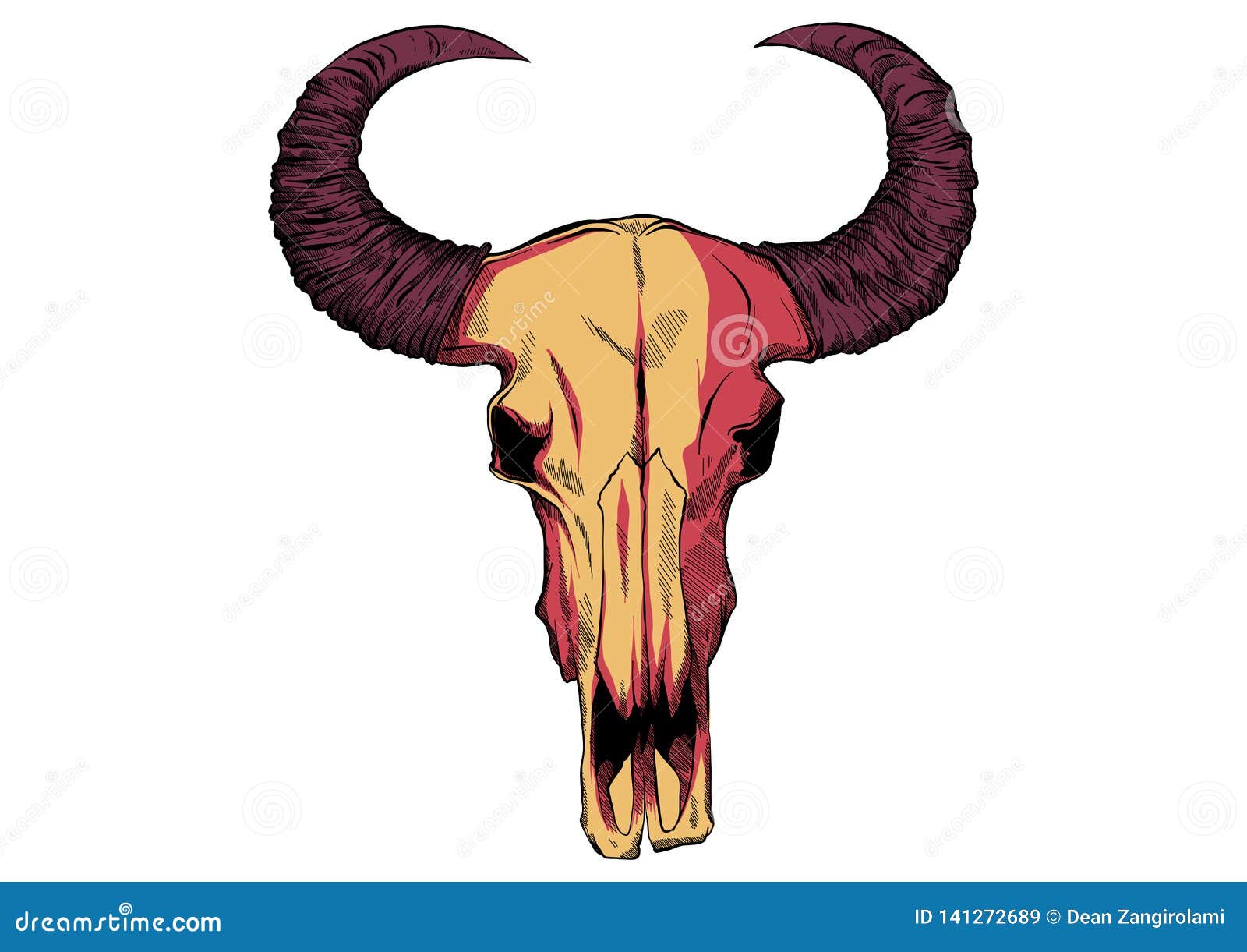 Drawing of a Bull Skull Vector Illustration Stock Vector - Illustration ...