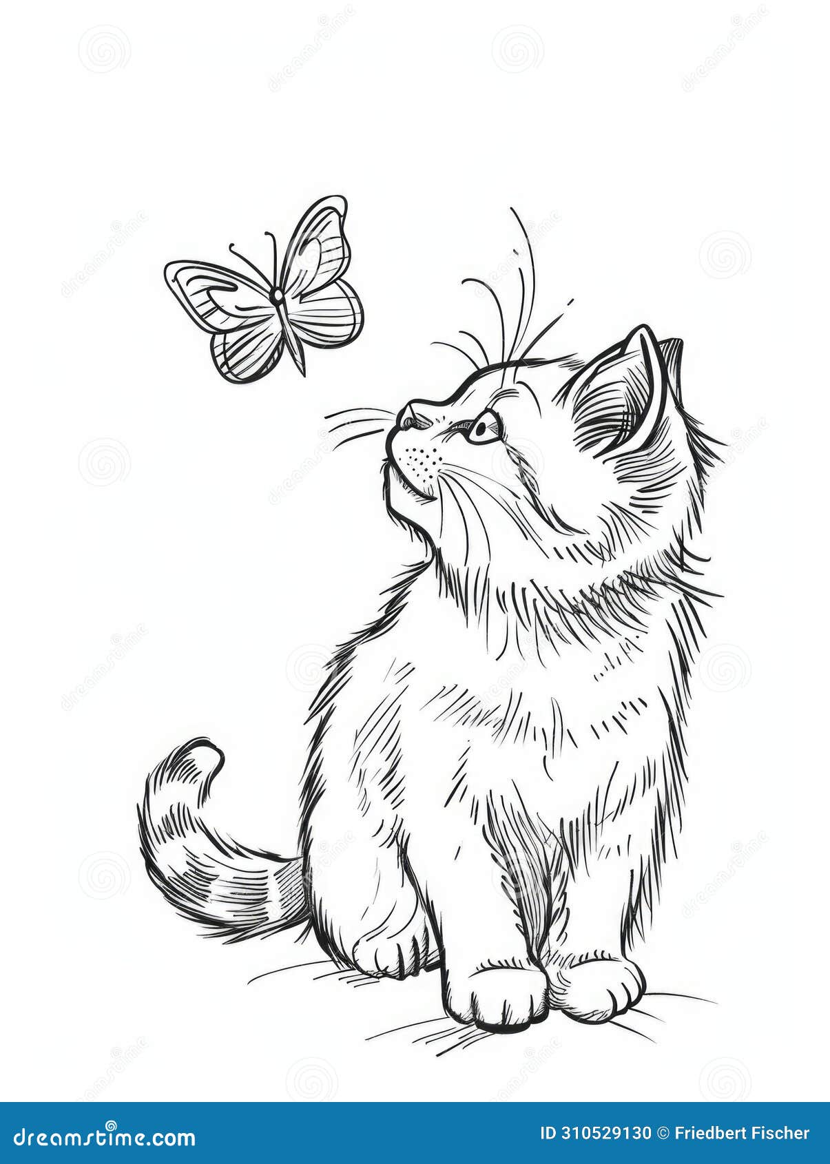 A Drawing of a Cat and a Butterfly, Coloring Book for Kids. Stock ...