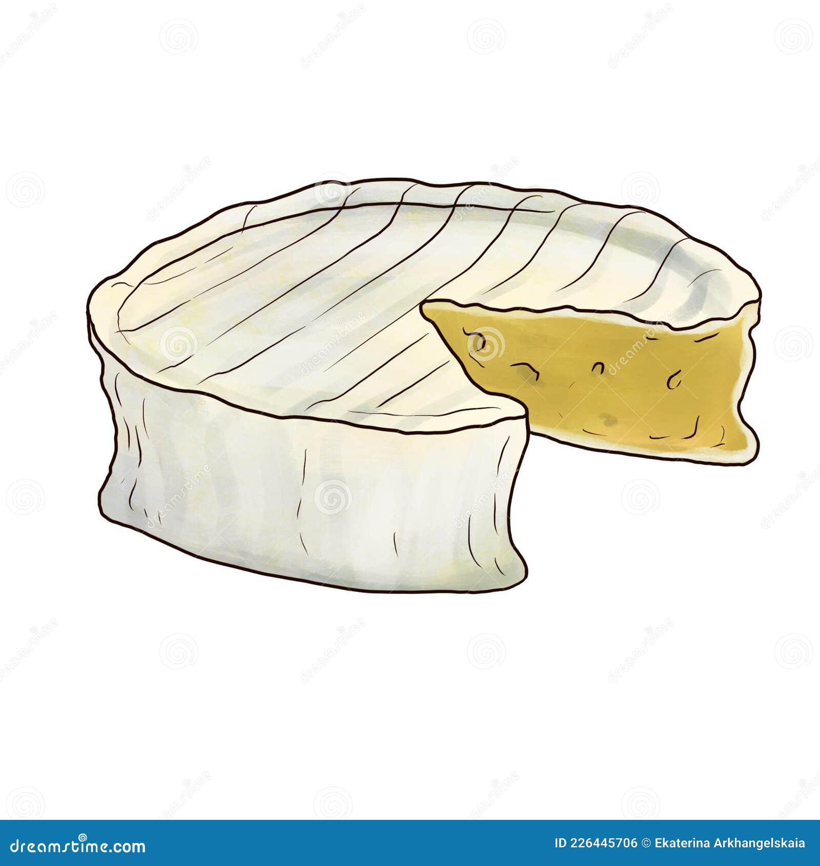 Drawing Cheese Emmental Isolated At White Background Stock Illustration ...