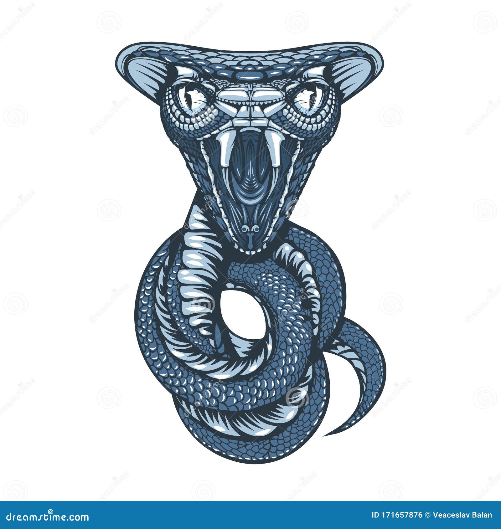 Coiled Snake Drawing