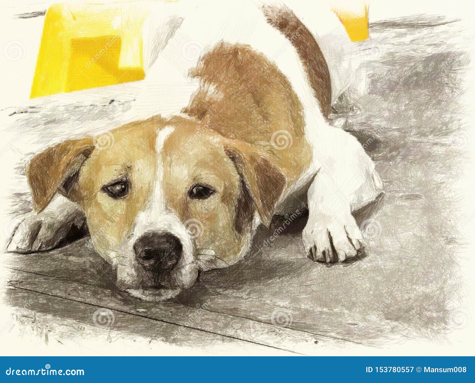 Drawing color of cute dog stock illustration. Illustration of graphic ...