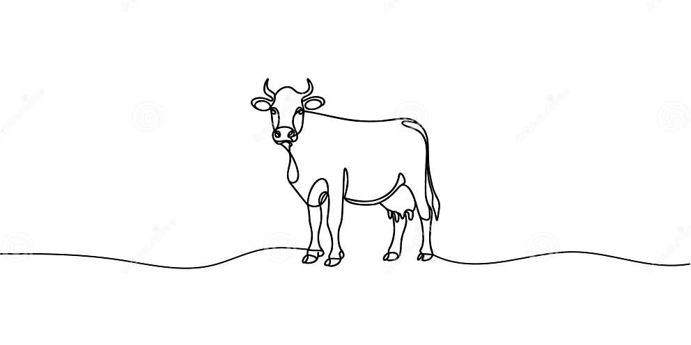Drawing a Continuous Line. Cow on White Isolated Background Stock ...