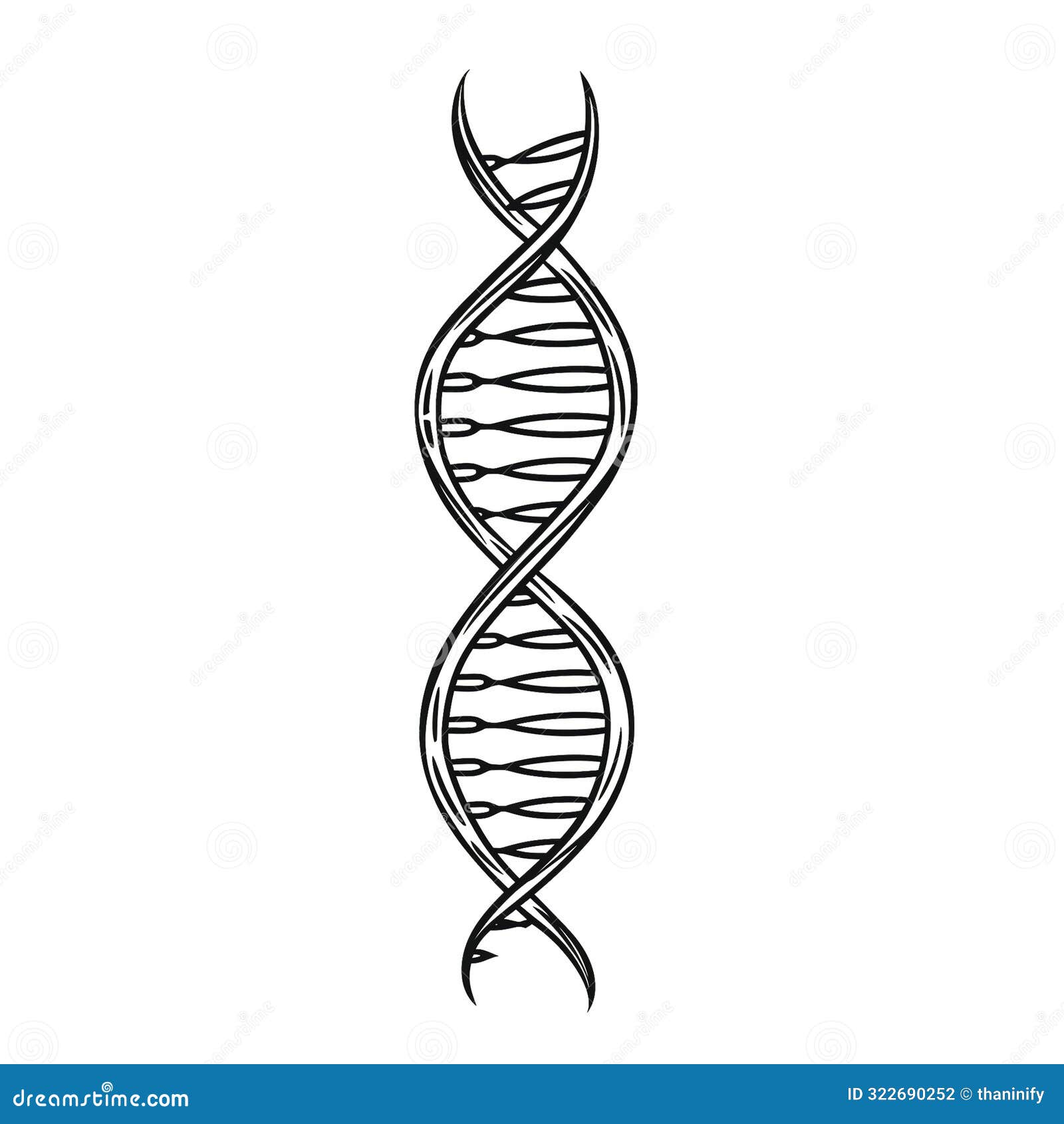 A Drawing of a Double Helix of Dna on a White Background Stock ...