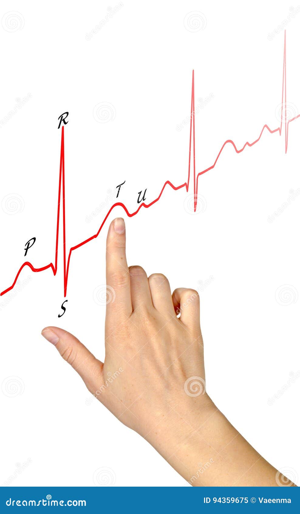 Drawing ECG stock image. Image of hand, presenting, electrocardiogram ...