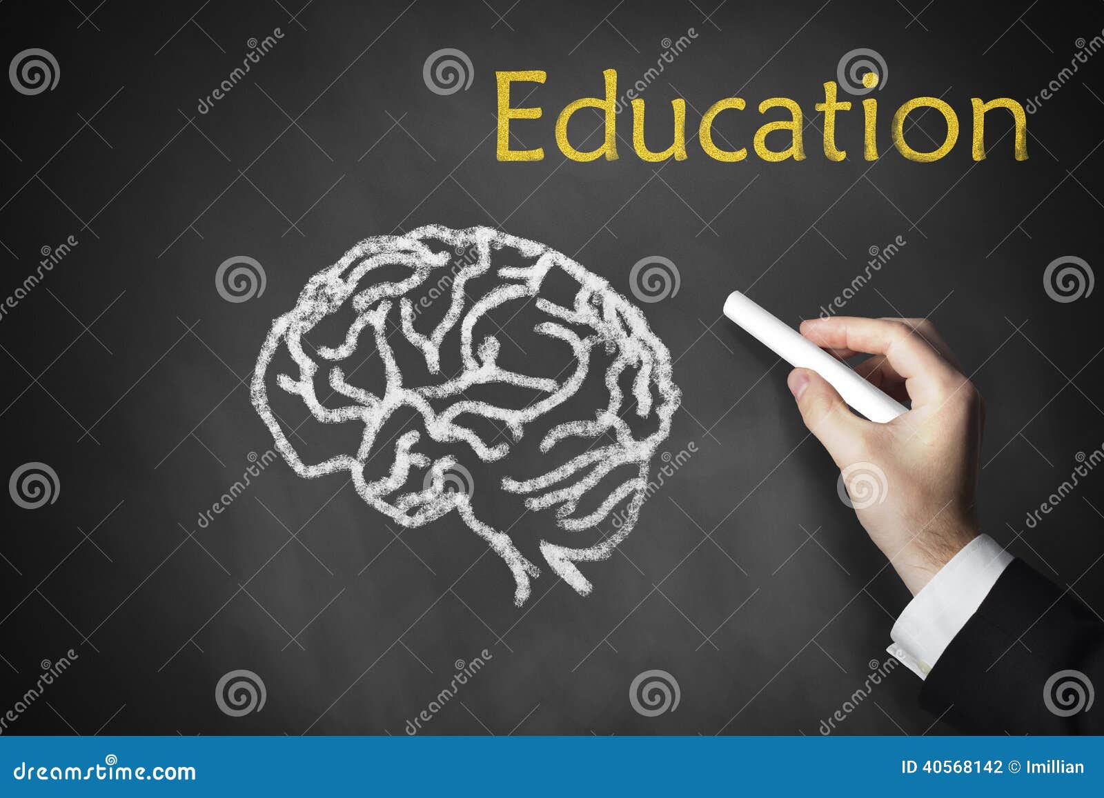Drawing Education Brain on Board Stock Photo - Image of stairs, chalk ...