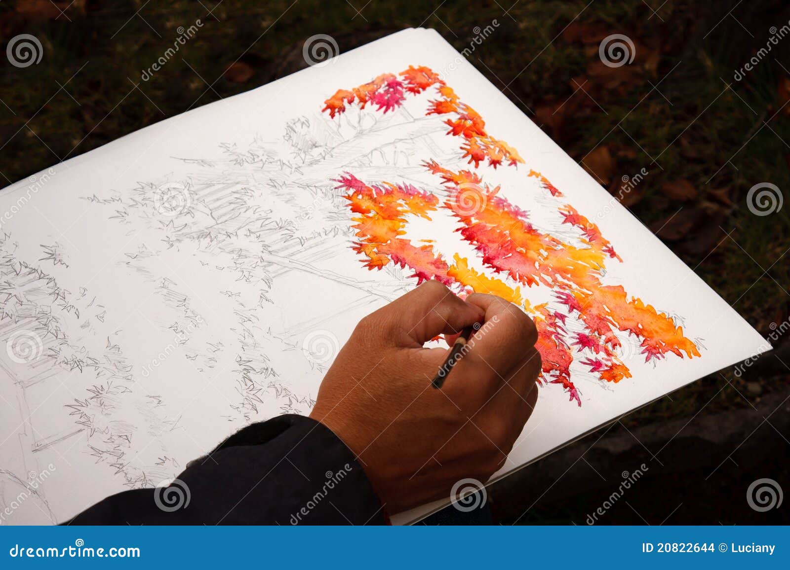 Drawing the Fall Leaves stock photo. Image of vibrant - 20822644