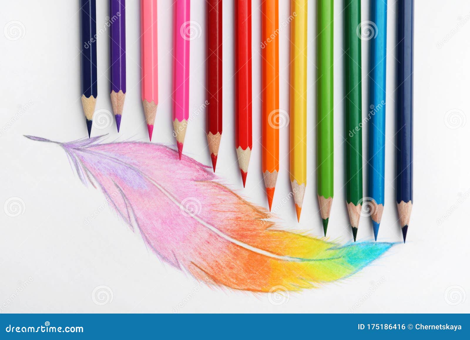 Drawing of Feather and Colorful Pencils on Background, Top View Stock ...