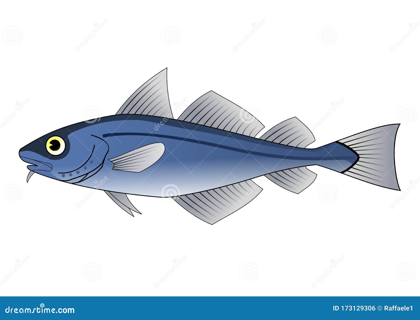Drawing of Fish with White Background Stock Illustration - Illustration ...