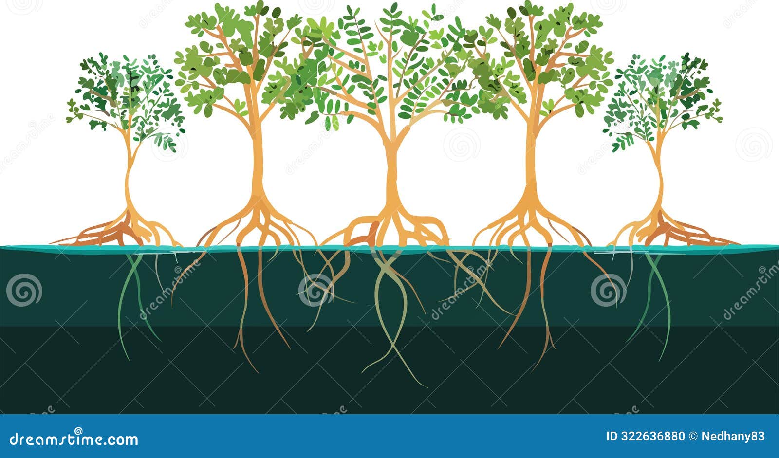 A Drawing of Five Trees with Their Roots Showing Stock Vector ...