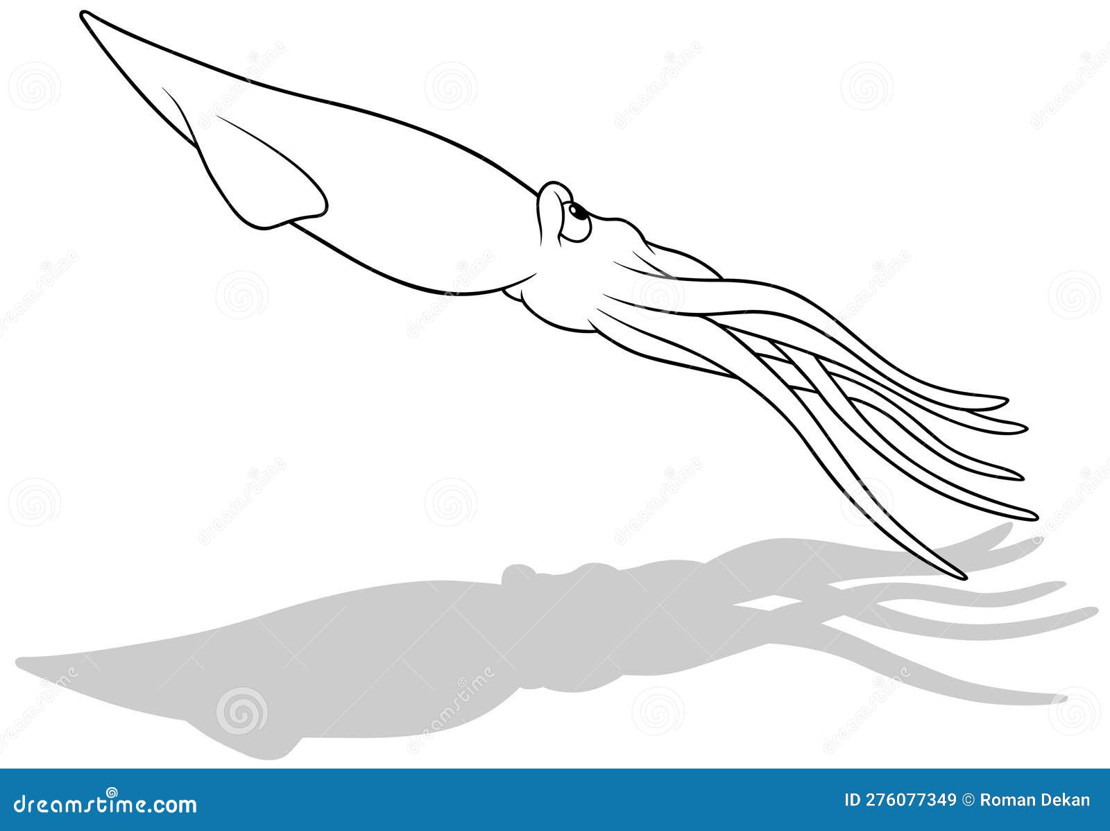 Cuttlefish In Top View On A Blue-green Gradient Background Vector ...