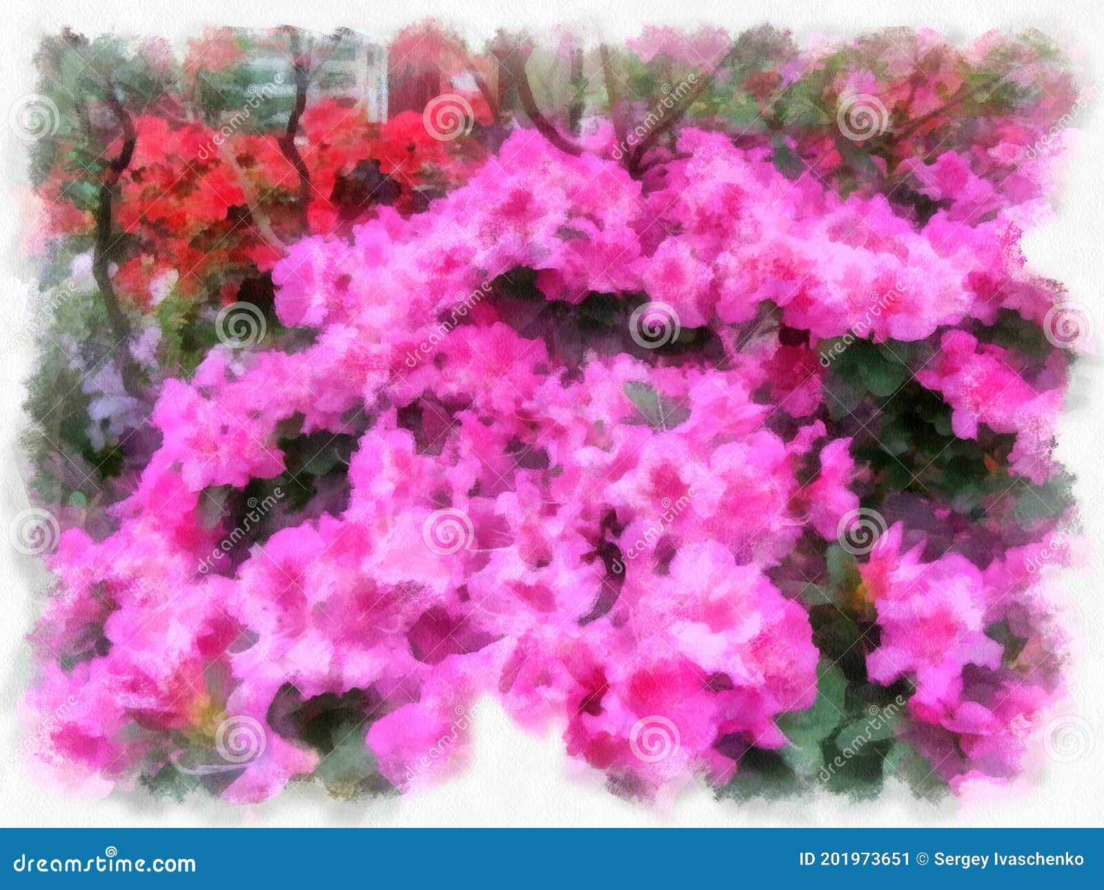 Drawing of a Flower Close-up. Stock Image - Image of flowers, white ...