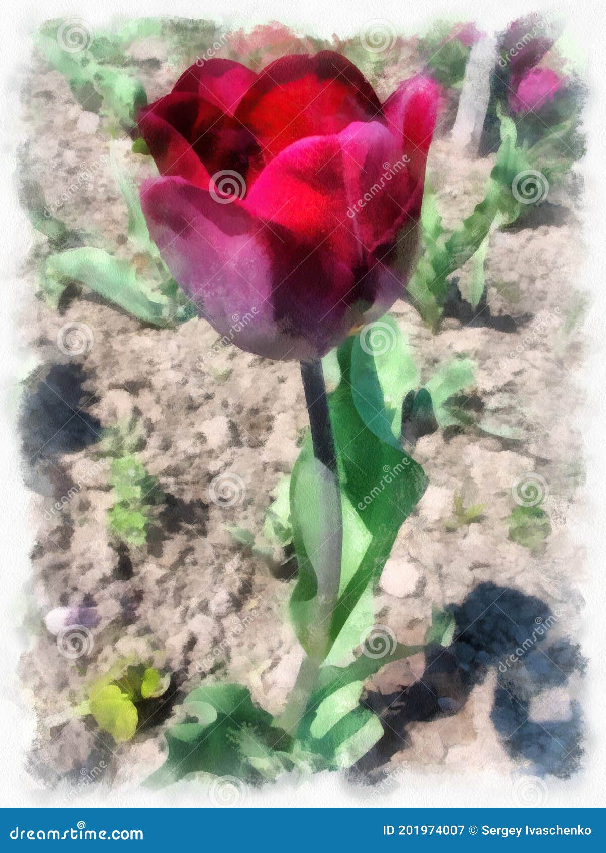 Drawing of a Flower Close-up. Stock Image - Image of summer, flora ...