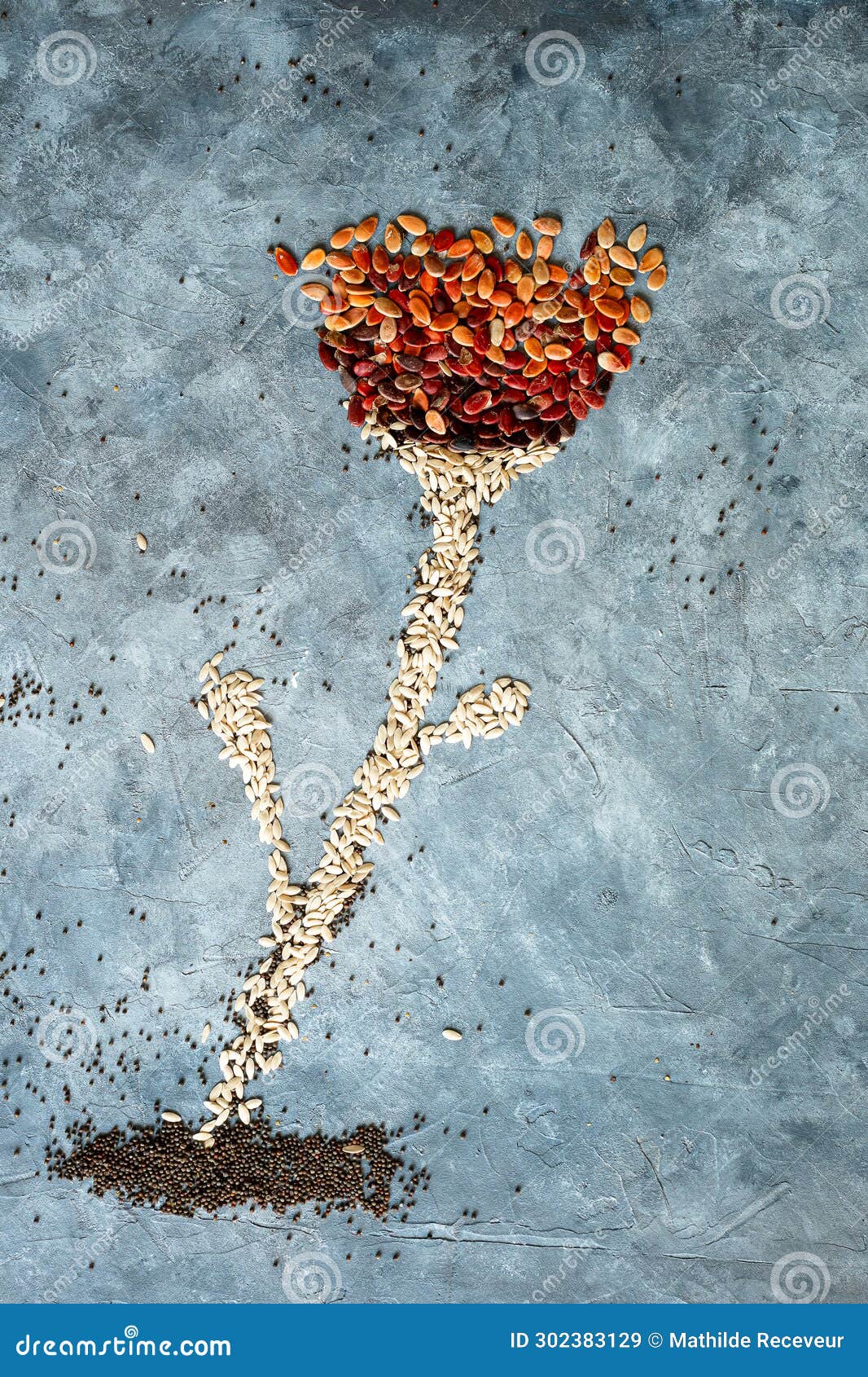 Drawing of a Flower Made Up of Colored Seeds on a Grey Background. View ...