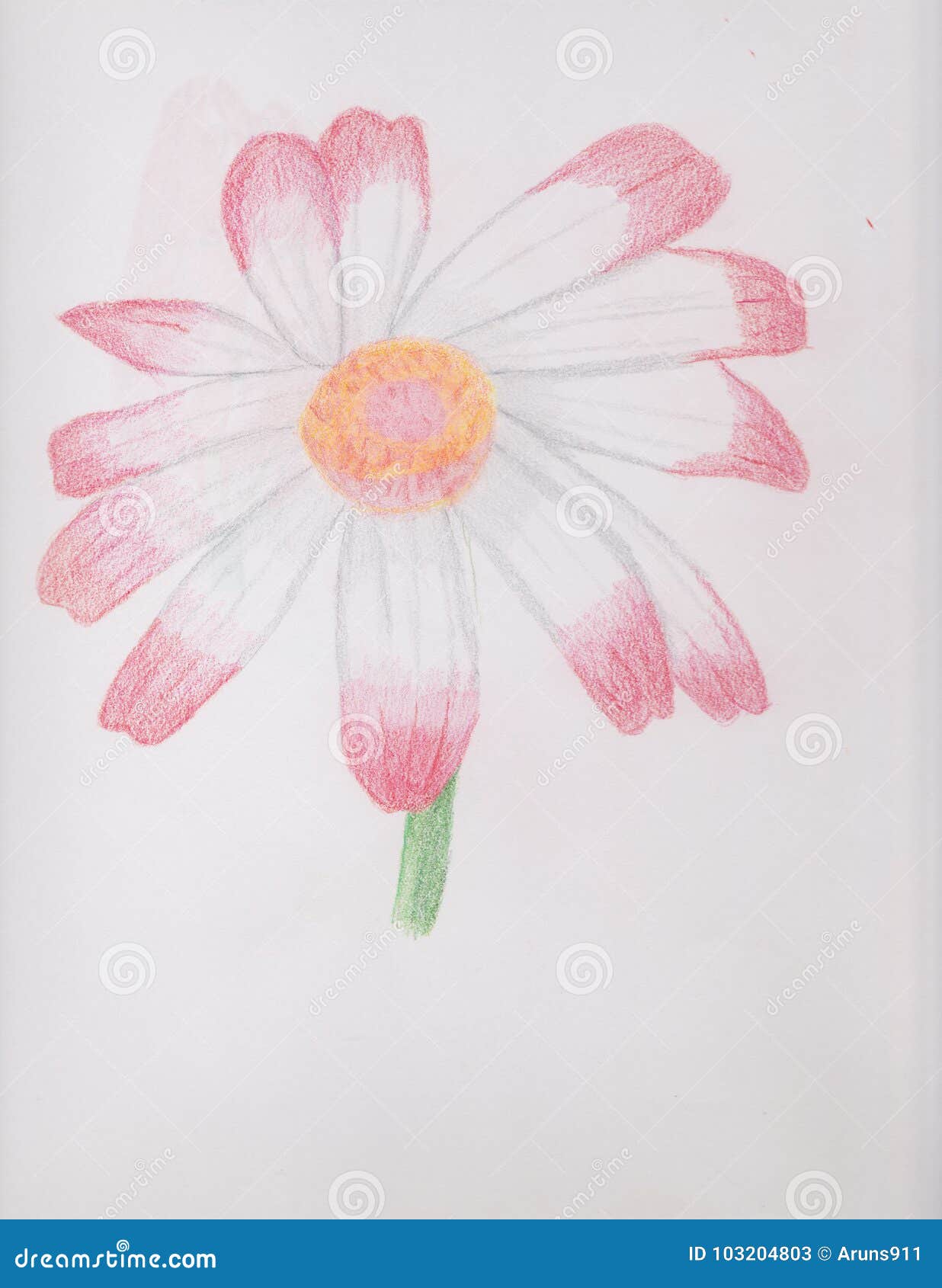 Flower still life stock illustration. Illustration of plant - 103204803