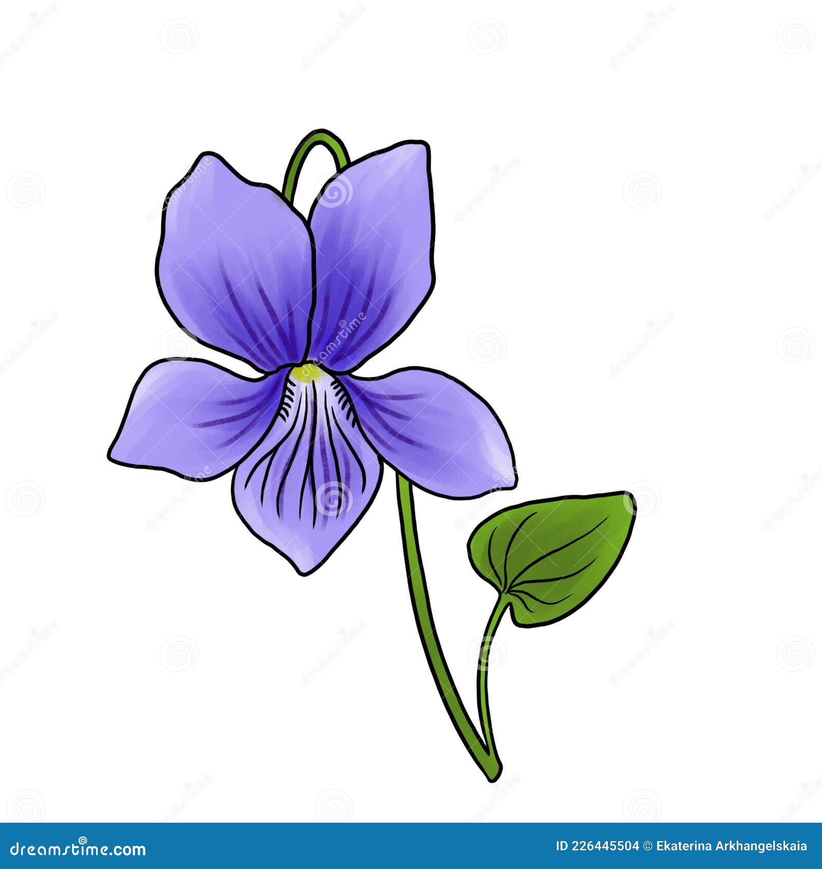 Viola Plant Drawing