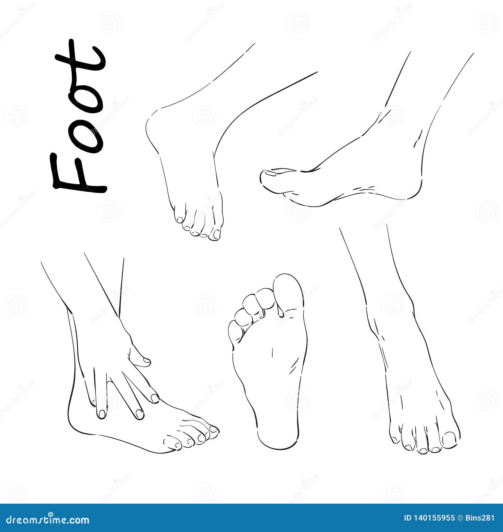 Drawing of foot stock vector. Illustration of scheme - 140155955