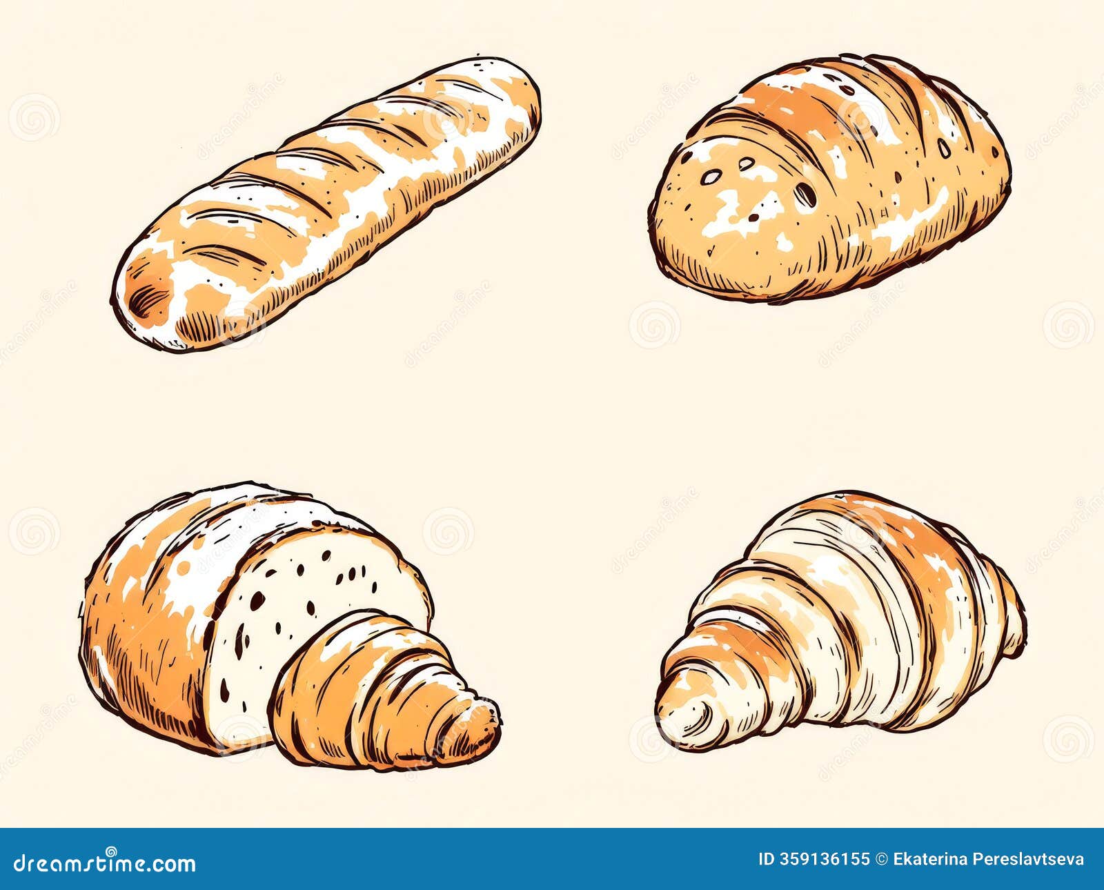 Drawing of Four Different Types of Bread Stock Image - Image of meal ...