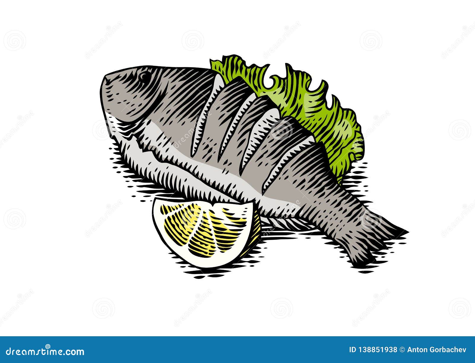Drawing of fried Fish stock vector. Illustration of isolated - 138851938