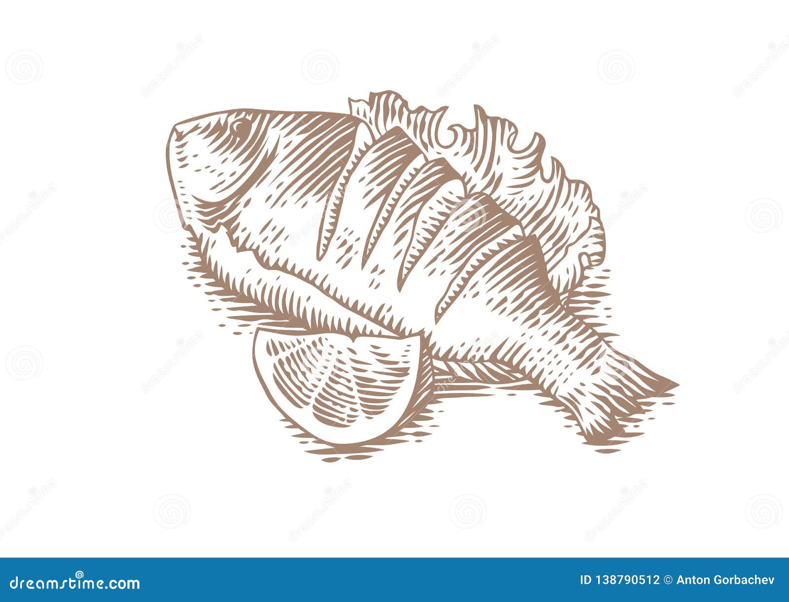 Drawing of fried Fish stock vector. Illustration of lemon - 138790512