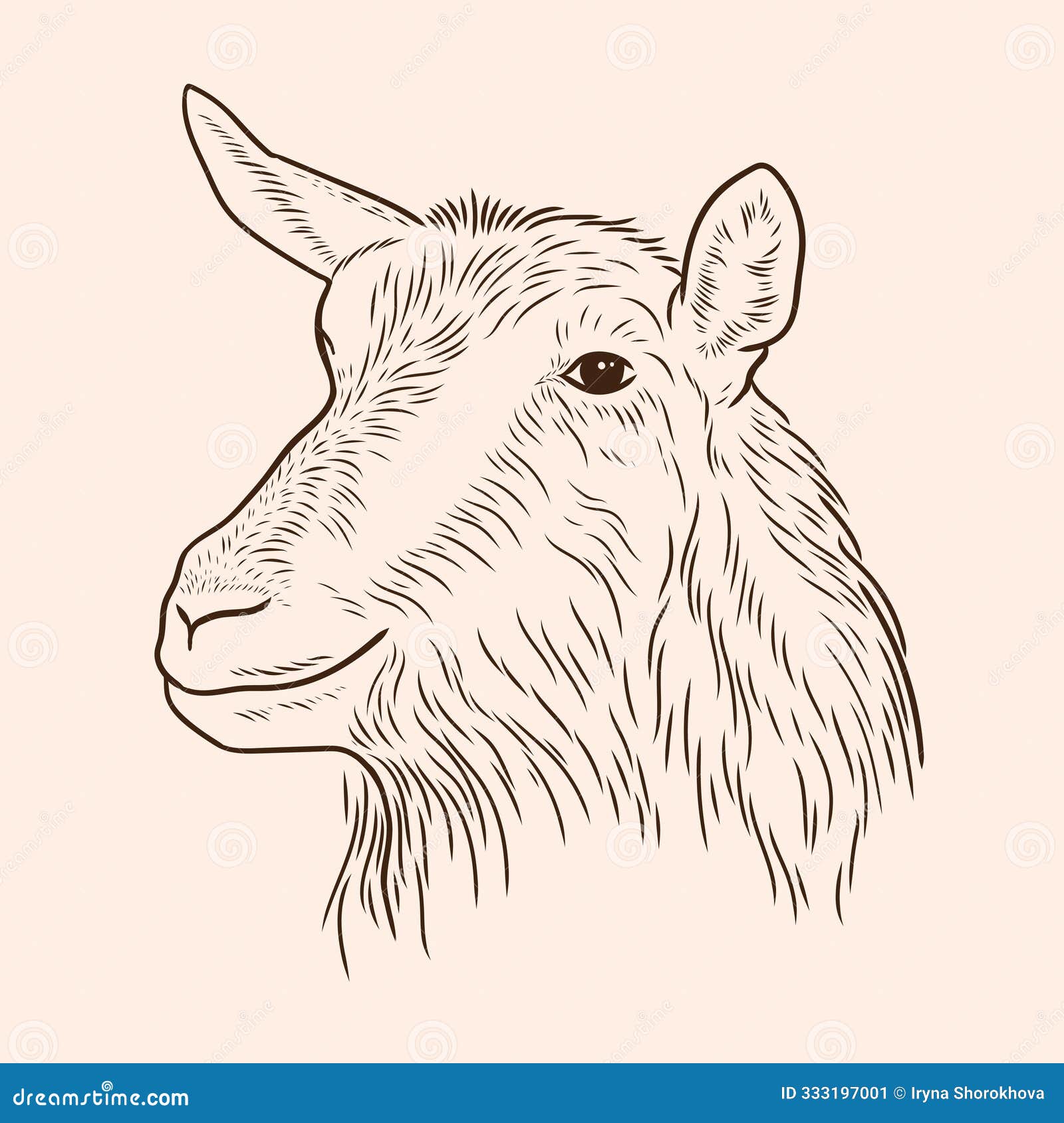 Drawing of a Goat S Head in the Style of Line Drawing Stock Vector ...