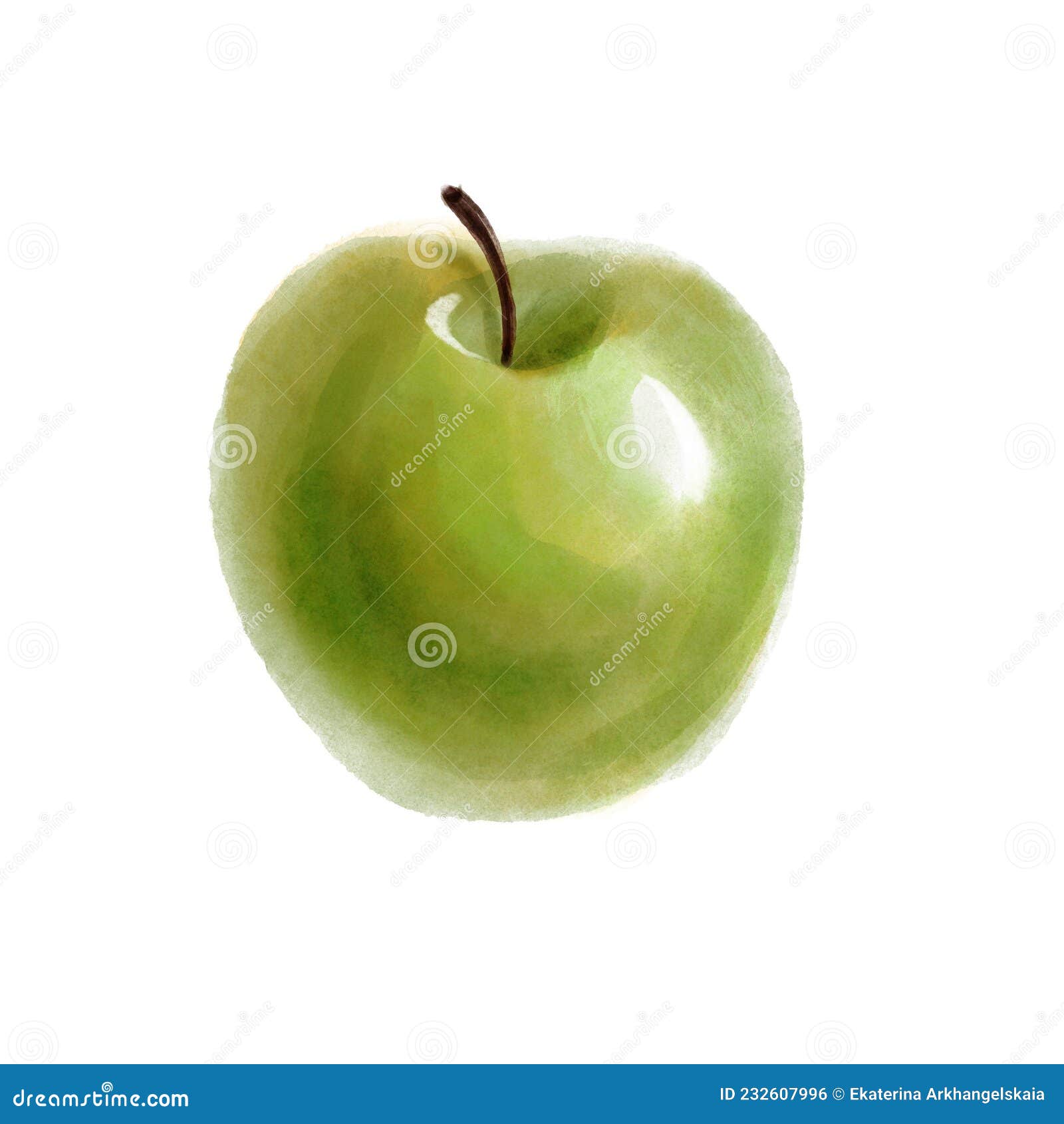 Drawing green apple stock illustration. Illustration of healthy - 232607996